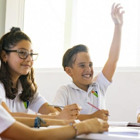 Primaria Alta Particular Bilingüe | Innova Schools